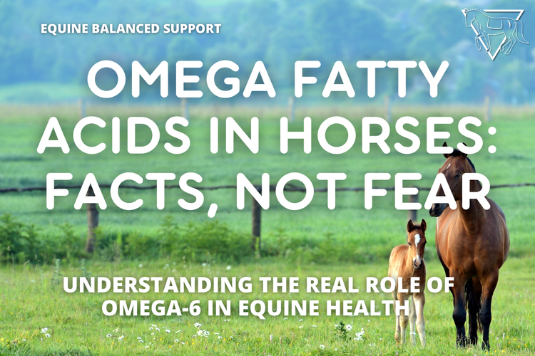 Understanding Omega Fatty Acids for Horses: The Truth About Omega-6 ...