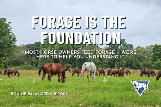 Forage for Horses: Complete Guide to Hay, Pasture, Nutrition & Quality ...